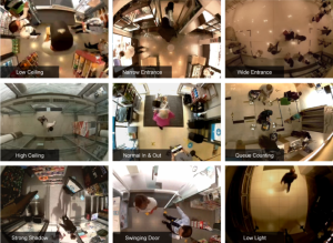 footfallcam - Skywave